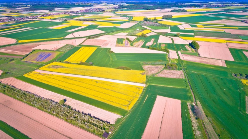 World Bank: Investment in Croatian Agriculture Justified — Diplomacy ...